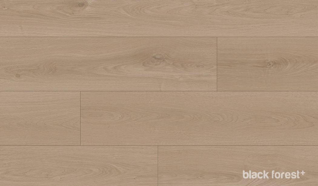 Laminate Flooring Black Forest+ AC5/W32 – Sensational Blinds and Flooring